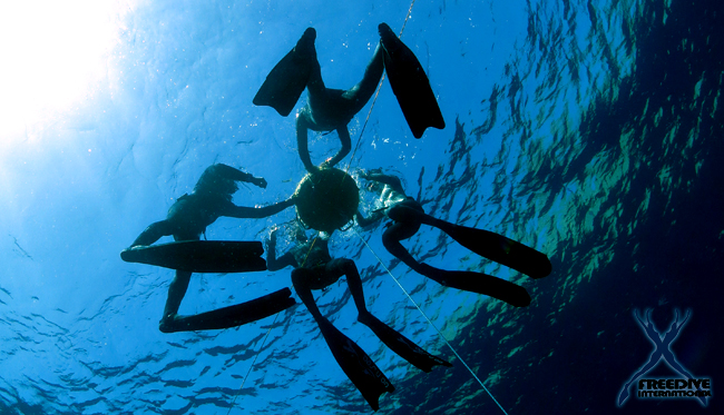 Why Freediving Is a Team Sport - FreeDive International